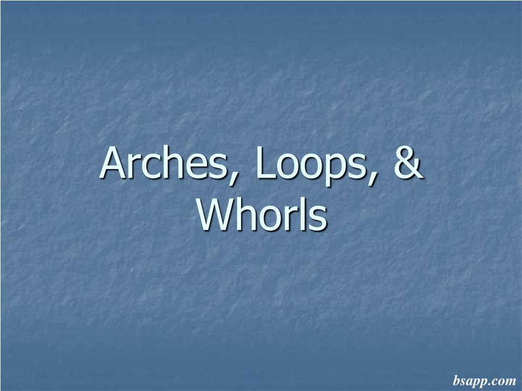 PPT - Arches, Loops, & Whorls PowerPoint Presentation, free download ...