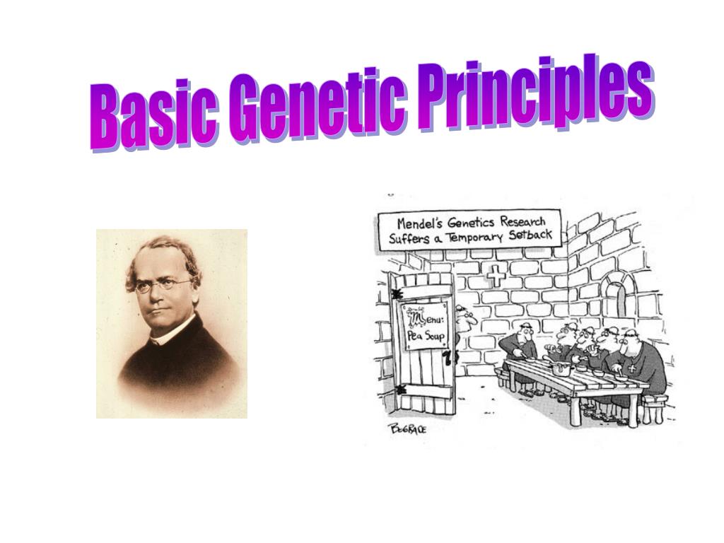 PPT - Basic Genetic Principles PowerPoint Presentation, free download ...
