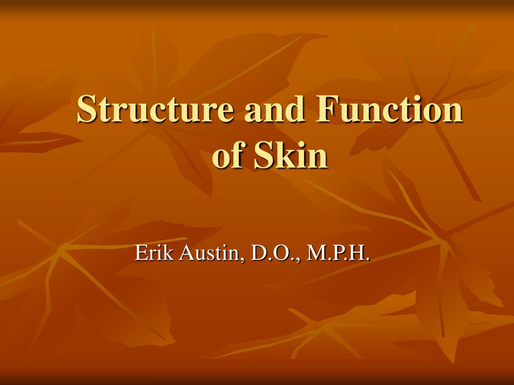 PPT - Structure and Function of Skin PowerPoint Presentation, free ...