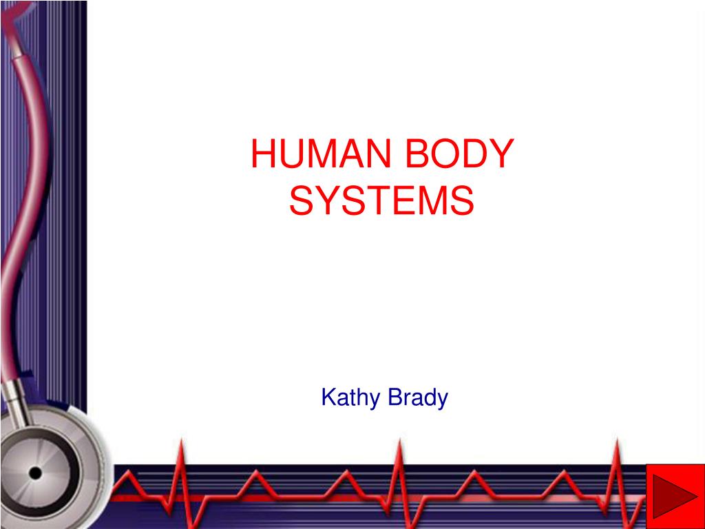 PPT - HUMAN BODY SYSTEMS PowerPoint Presentation, free download - ID:790065