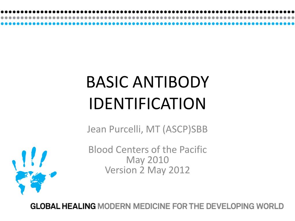 PPT - BASIC ANTIBODY IDENTIFICATION PowerPoint Presentation, free download - ID:790424