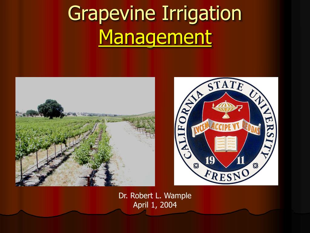 PPT - Grapevine Irrigation Management PowerPoint Presentation, free ...