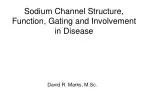 PPT - Sodium Channel Structure, Function, Gating and Involvement in ...