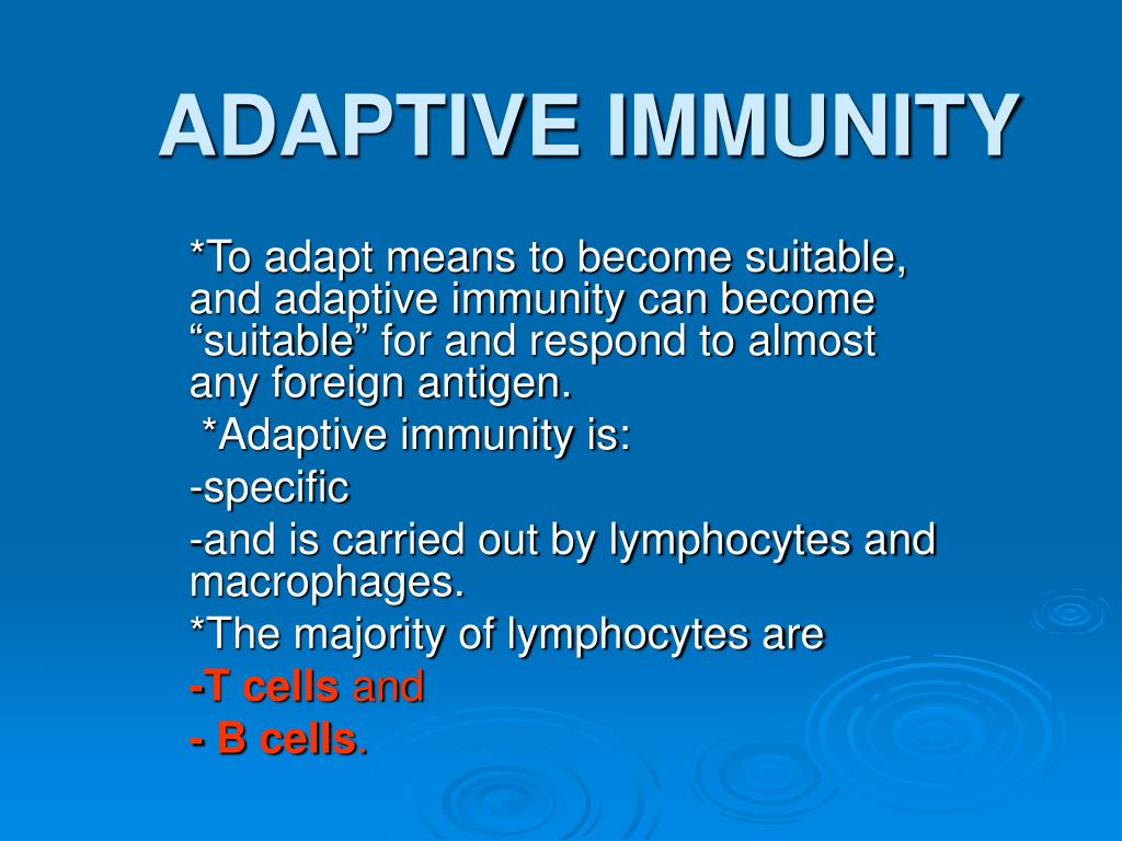 PPT - ADAPTIVE IMMUNITY PowerPoint Presentation, free download - ID:796315