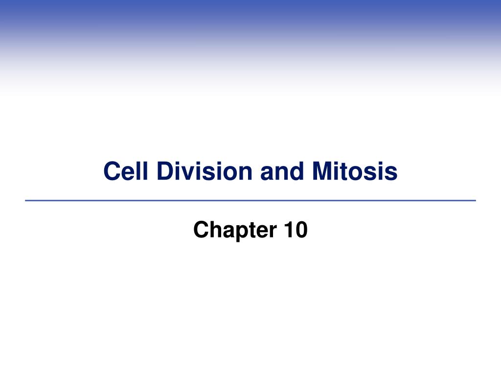 PPT - Cell Division and Mitosis PowerPoint Presentation, free download ...