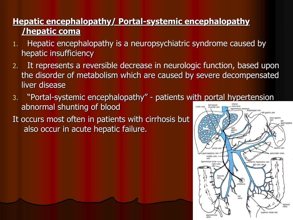 PPT - Hepatic encephalopathy/ Portal-systemic encephalopathy /hepatic ...