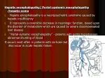 PPT - Hepatic Encephalopathy PowerPoint Presentation, free download ...