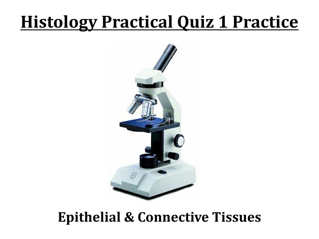 PPT - Histology Practical Quiz 1 Practice PowerPoint Presentation, free ...