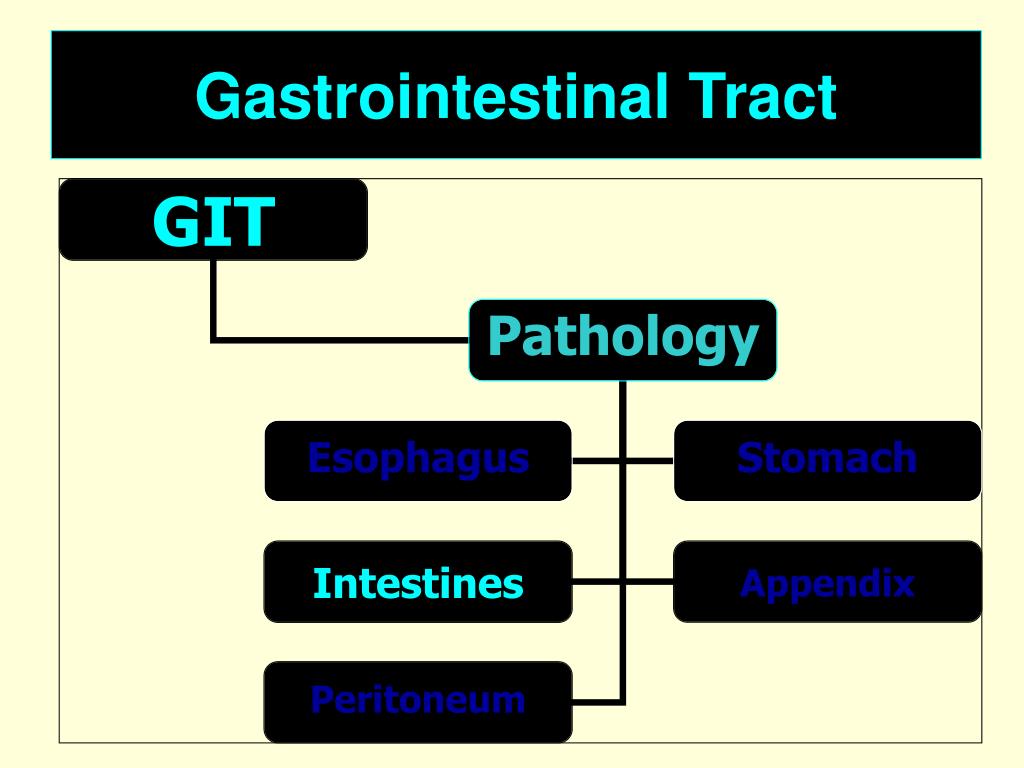 PPT - Gastrointestinal Tract PowerPoint Presentation, free download ...
