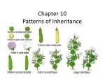 PPT - CHAPTER 9 Patterns of Inheritance PowerPoint Presentation, free download - ID:5241498
