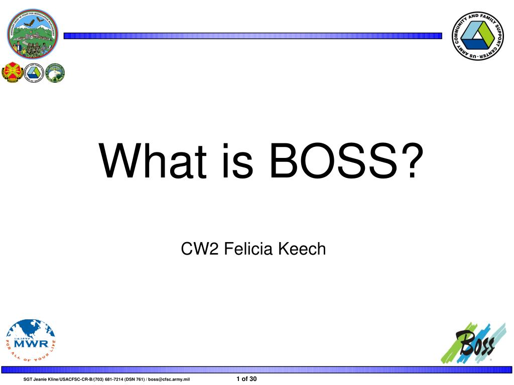 PPT - What is BOSS? PowerPoint Presentation, free download - ID:819348