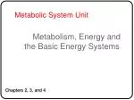 PPT - Metabolic System and Exercise PowerPoint Presentation, free ...