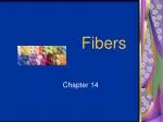 PPT - Introduction to Fibers PowerPoint Presentation, free download ...