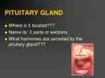 PPT - Gland? 100X PowerPoint Presentation, free download - ID:580108