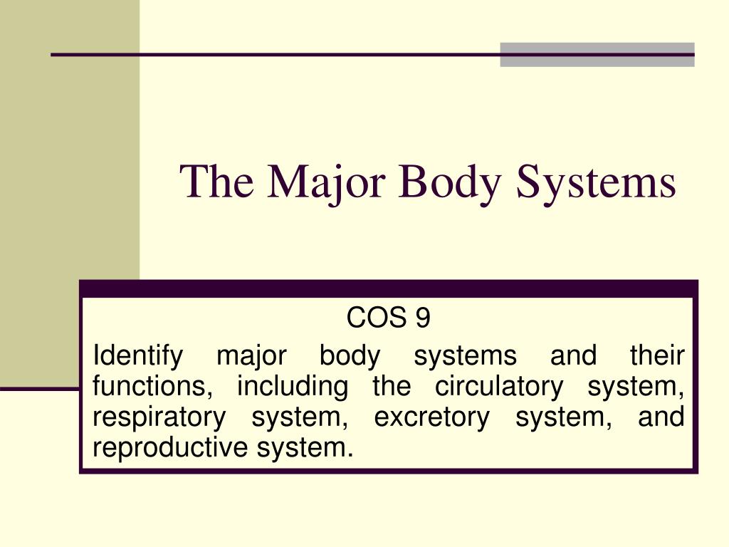 PPT - The Major Body Systems PowerPoint Presentation, free download ...