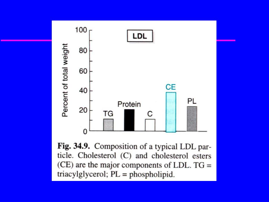PPT - Low Density Lipoprotein (LDL) PowerPoint Presentation, free ...