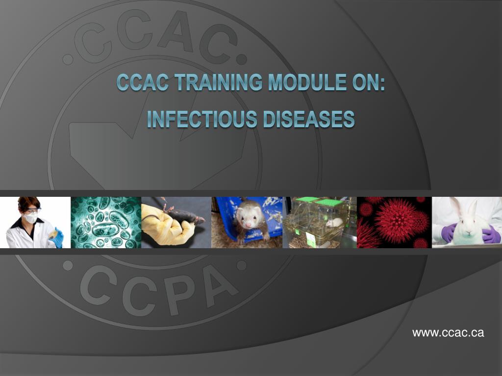 PPT - CCAC Training Module on: infectious Diseases PowerPoint ...