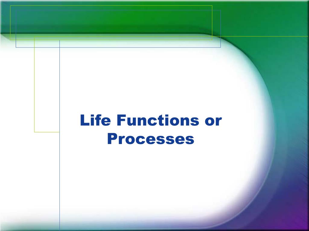 PPT - Life Functions or Processes PowerPoint Presentation, free ...