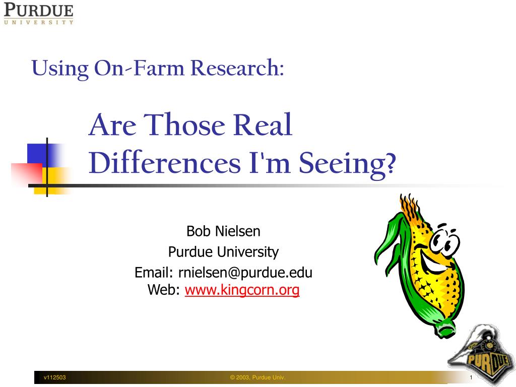 PPT - Are Those Real Differences I'm Seeing? PowerPoint Presentation ...