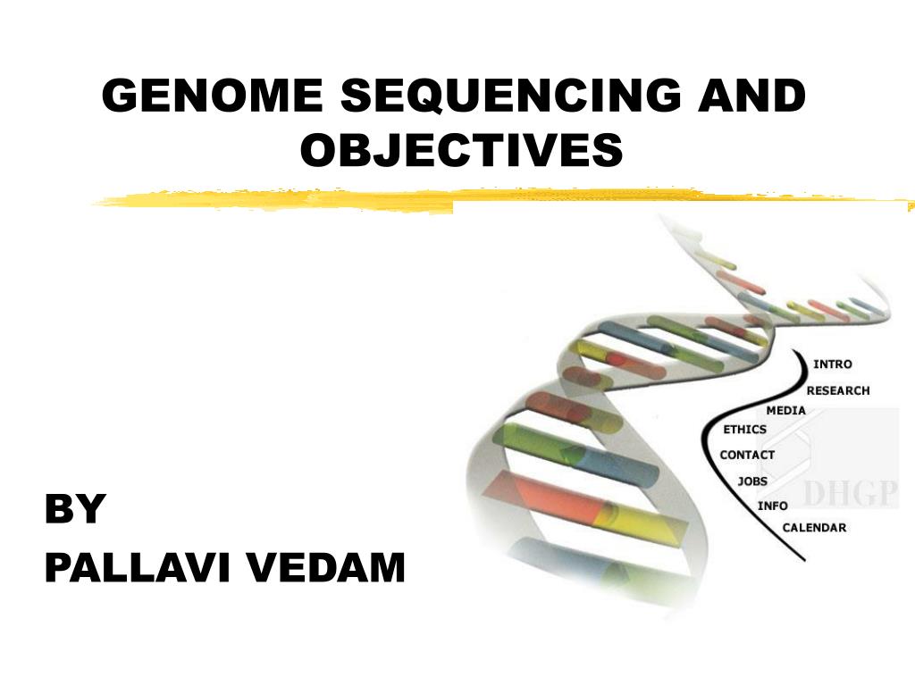 PPT - GENOME SEQUENCING AND OBJECTIVES PowerPoint Presentation, free ...