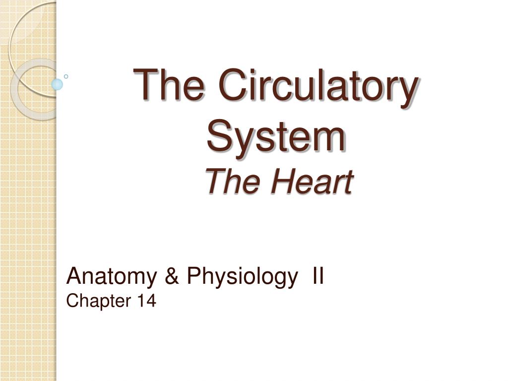 PPT - The Circulatory System The Heart PowerPoint Presentation, free ...
