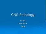 PPT - CNS Pathology PowerPoint Presentation, free download - ID:528134