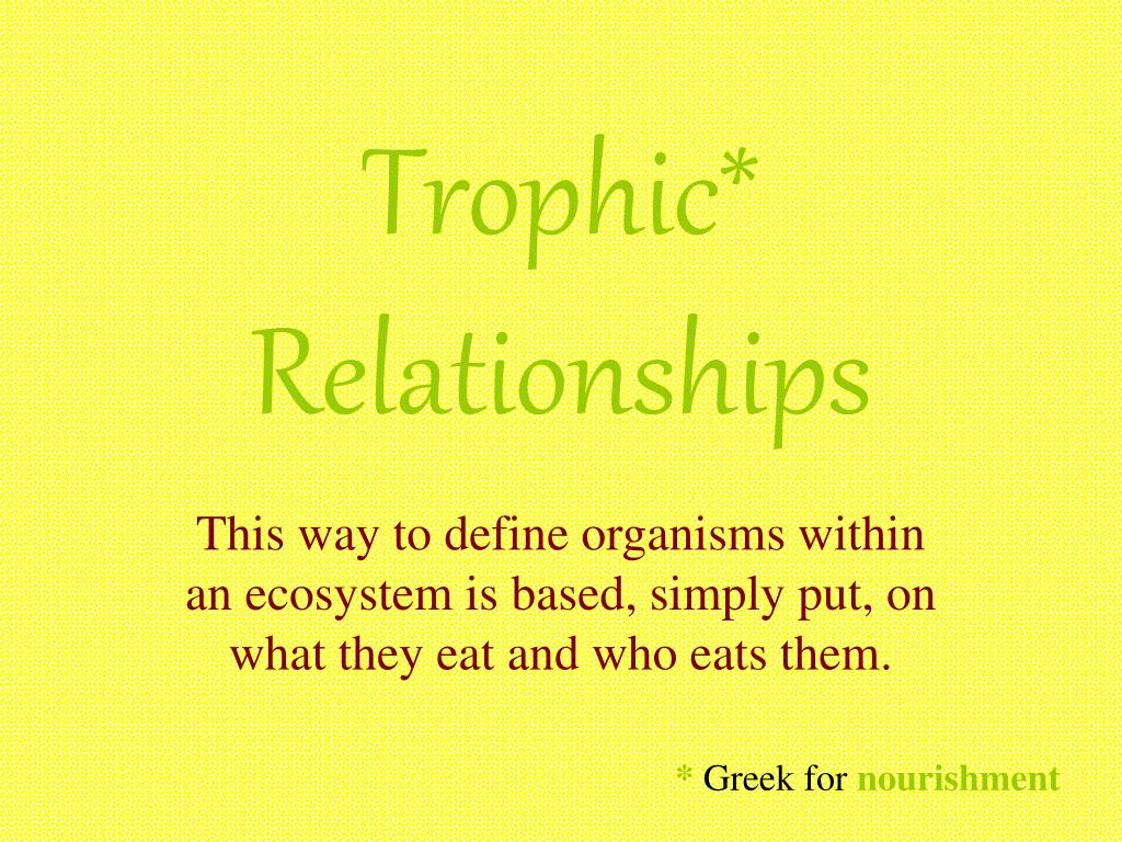 PPT - Trophic* Relationships PowerPoint Presentation, free download ...