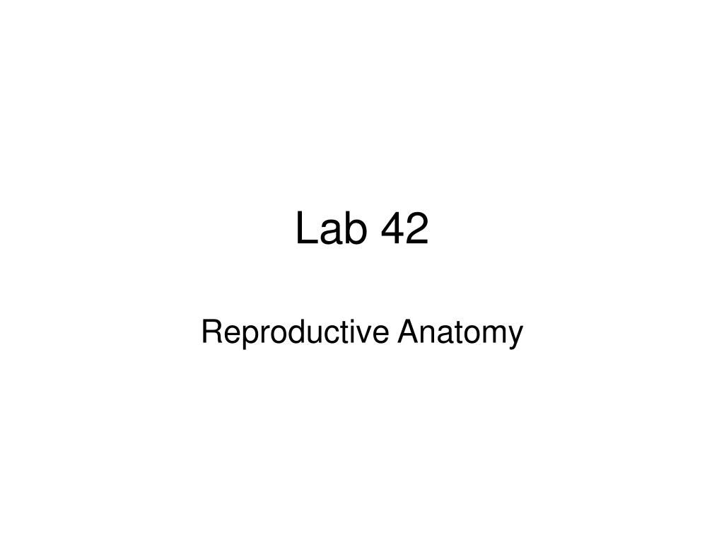 PPT - Lab 42 PowerPoint Presentation, free download - ID:834925