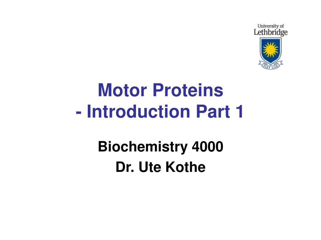 PPT - Motor Proteins - Introduction Part 1 PowerPoint Presentation ...