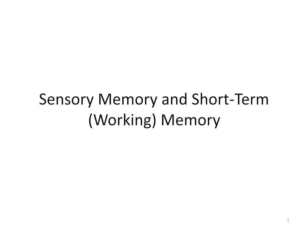 PPT - Sensory Memory and Short-Term (Working) Memory PowerPoint ...