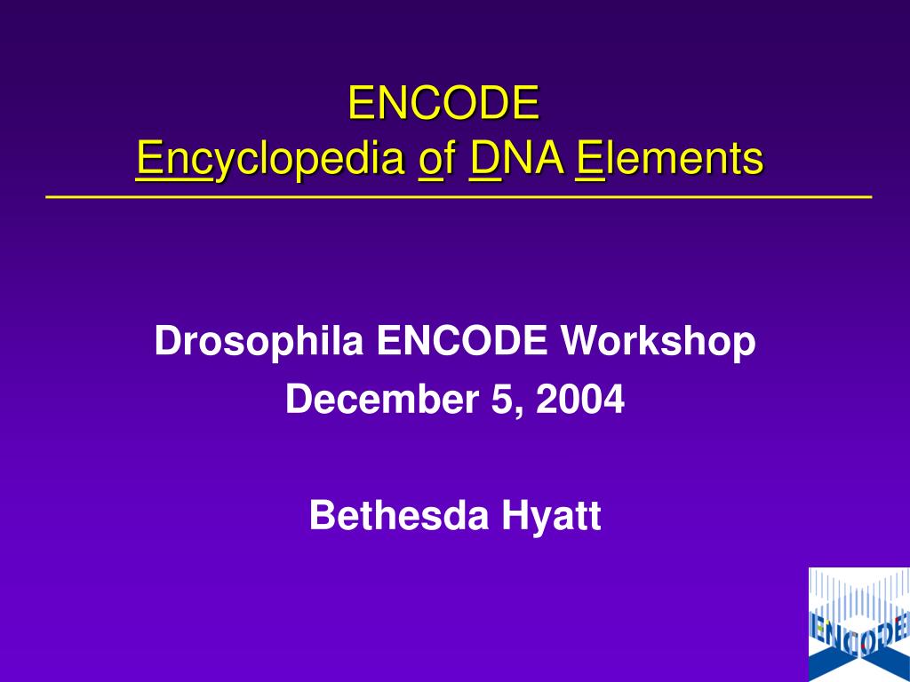 PPT - ENCODE Enc yclopedia o f D NA E lements PowerPoint Presentation ...