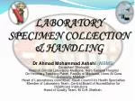 PPT - Specimen Collection PowerPoint Presentation, free download - ID ...