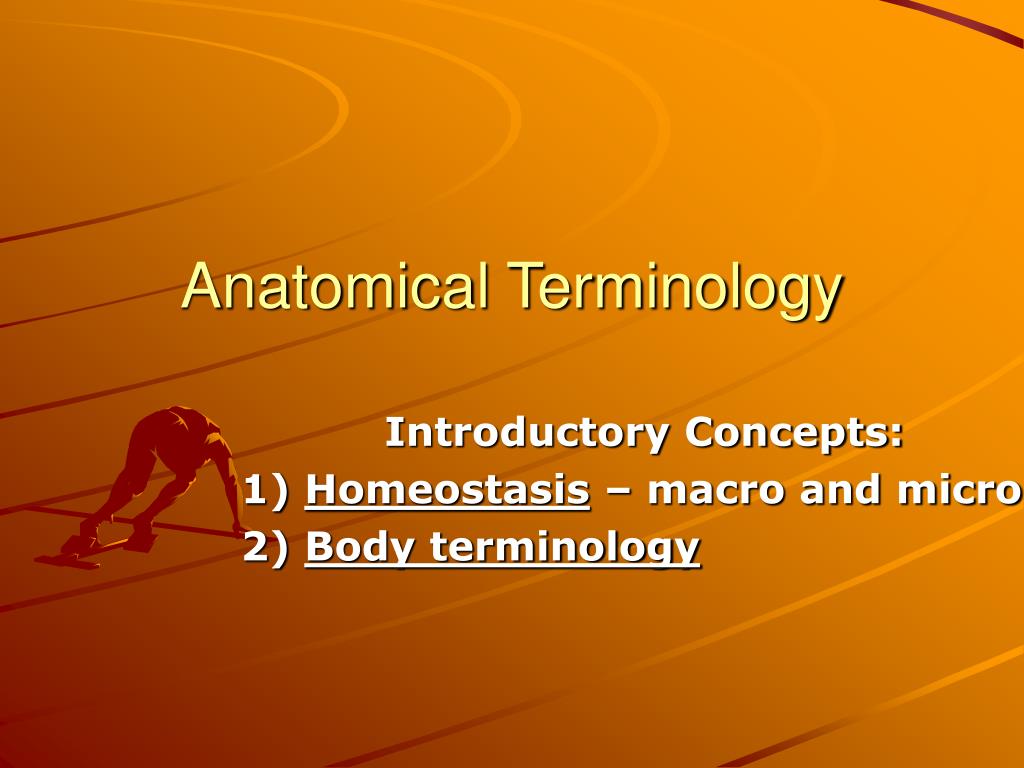 PPT - Anatomical Terminology PowerPoint Presentation, free download ...