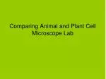 PPT - PLANT CELL AND ANIMAL CELL PowerPoint Presentation, free download ...