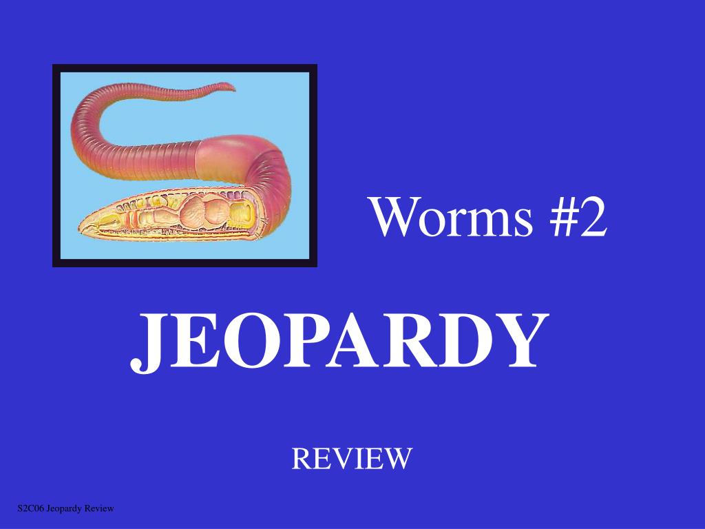 PPT - Worms #2 PowerPoint Presentation, free download - ID:844694