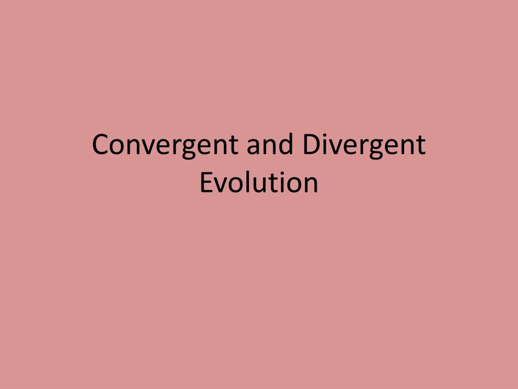 PPT - Convergent and Divergent Evolution PowerPoint Presentation, free ...