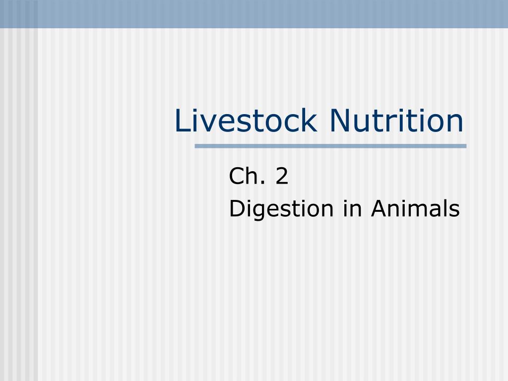 PPT - Livestock Nutrition PowerPoint Presentation, free download - ID ...