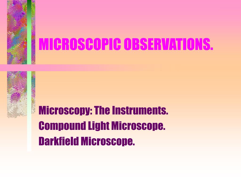 PPT - MICROSCOPIC OBSERVATIONS. PowerPoint Presentation, free download ...
