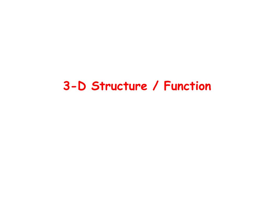 PPT - 3-D Structure / Function PowerPoint Presentation, free download ...
