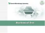 PPT - Summary of Biochemical Tests in Microbiology PowerPoint ...
