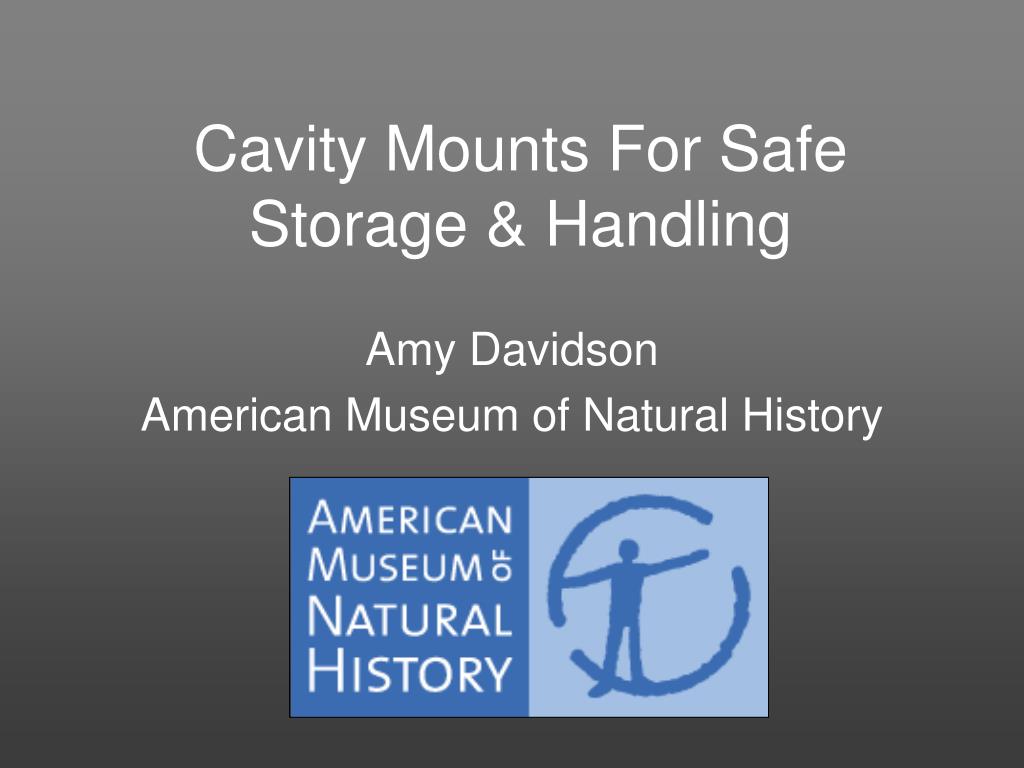 PPT - Cavity Mounts For Safe Storage & Handling PowerPoint Presentation ...