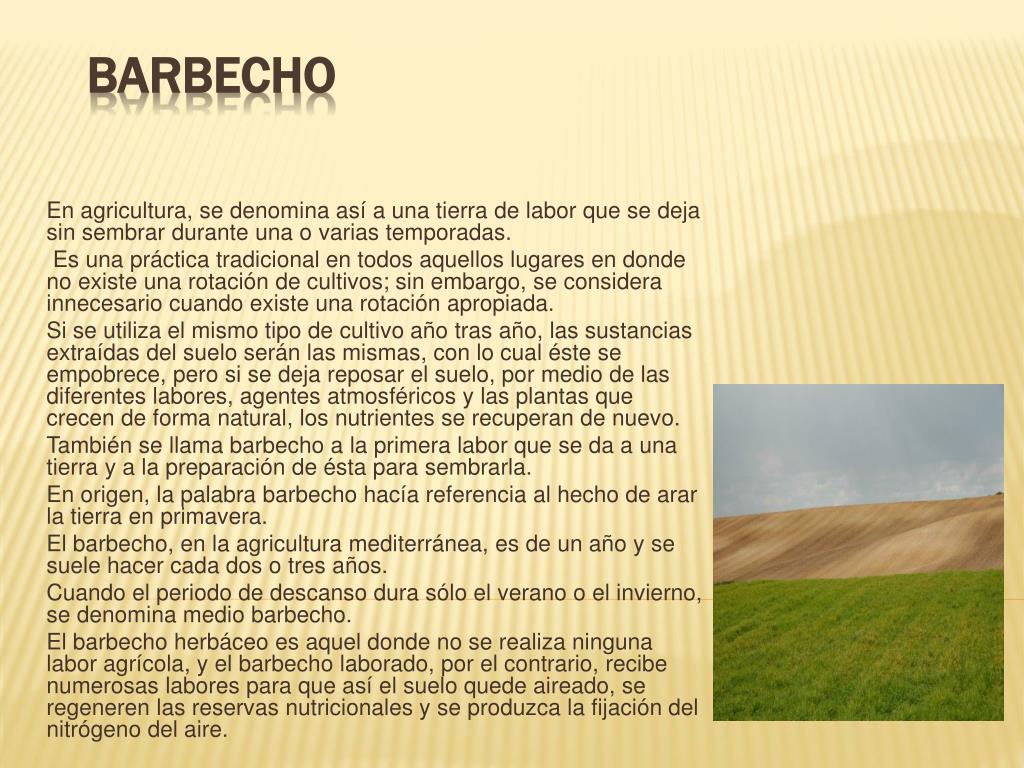 PPT - Barbecho PowerPoint Presentation, free download - ID:863519