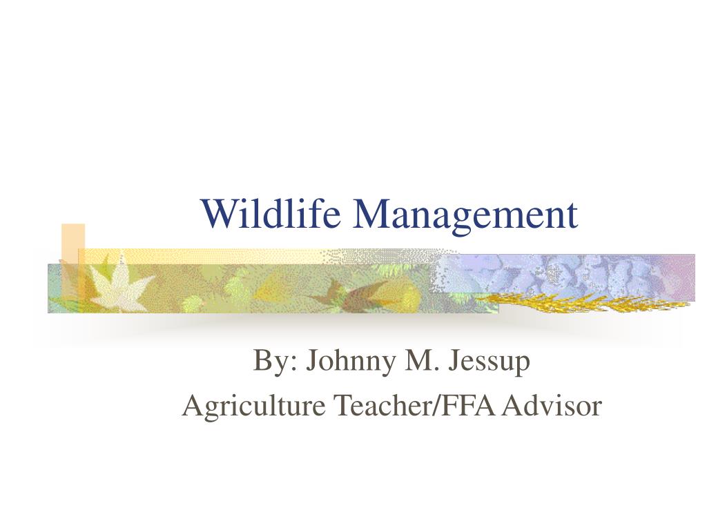 PPT - Wildlife Management PowerPoint Presentation, free download - ID ...