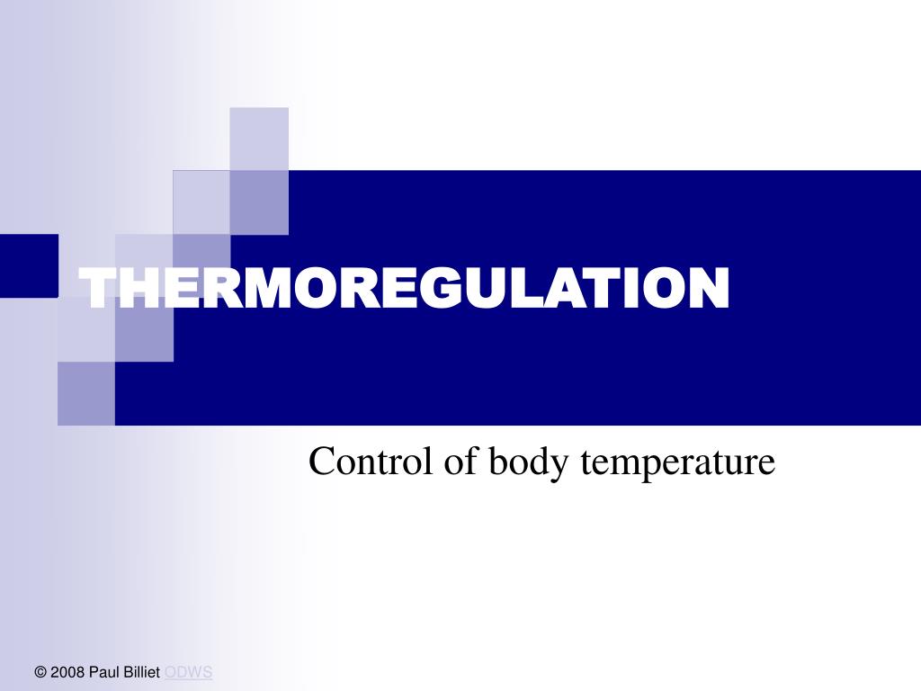 PPT - THERMOREGULATION PowerPoint Presentation, free download - ID:867444
