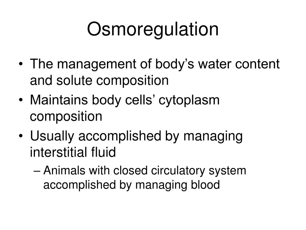 PPT - Osmoregulation PowerPoint Presentation, free download - ID:867720