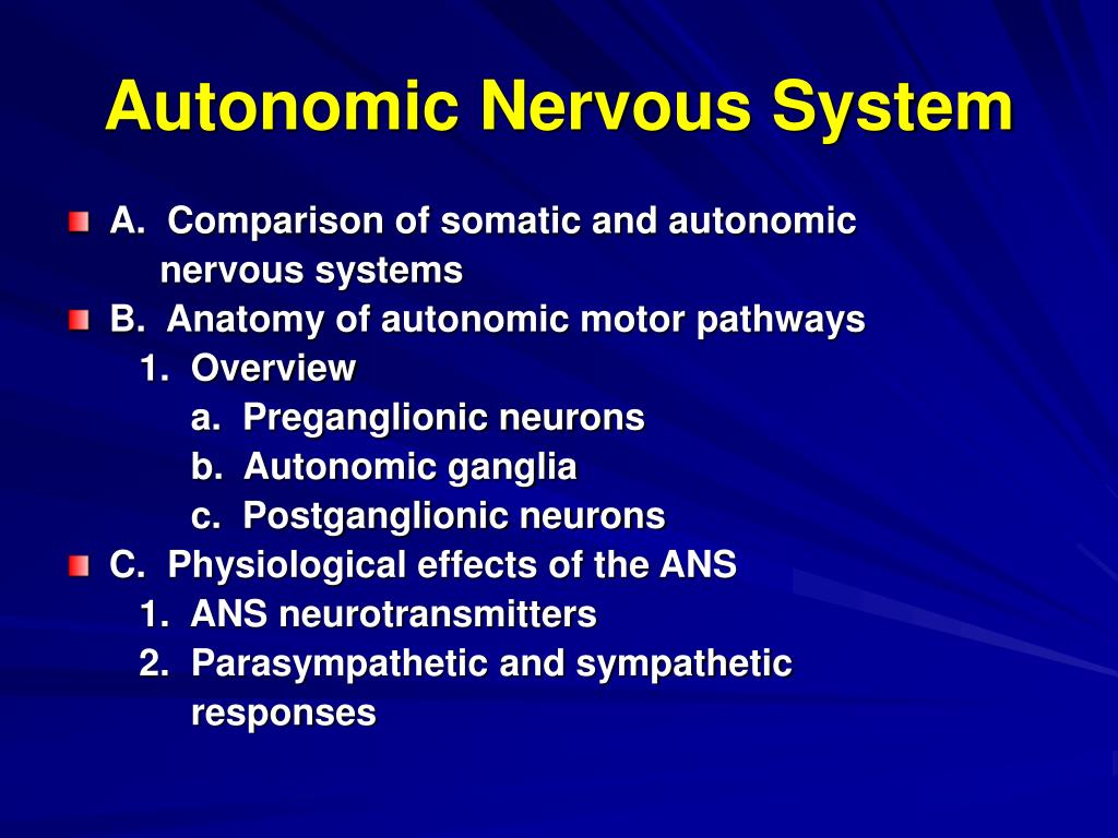 PPT - Autonomic Nervous System PowerPoint Presentation, free download ...