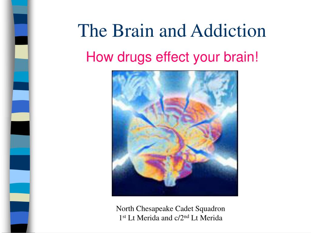 PPT - The Brain and Addiction PowerPoint Presentation, free download ...