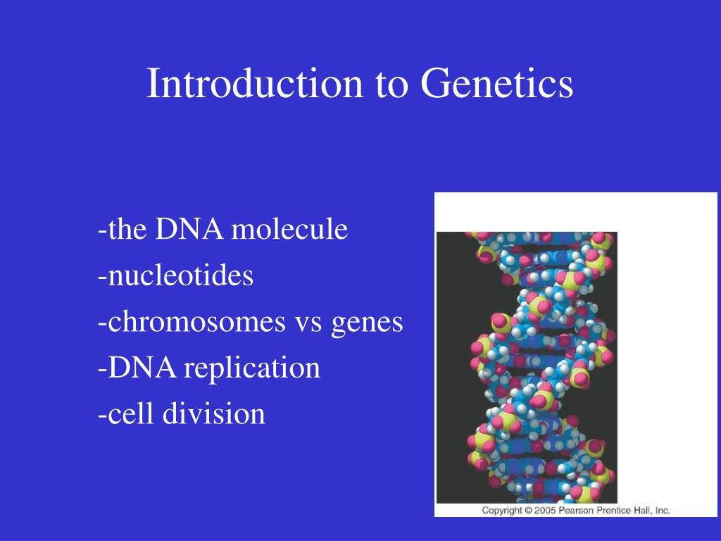 PPT - Introduction to Genetics PowerPoint Presentation, free download ...