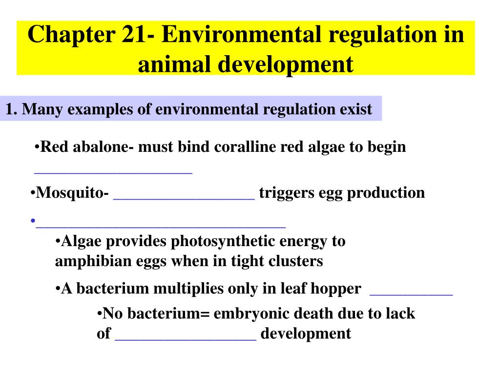 PPT - Chapter 21- Environmental regulation in animal development ...