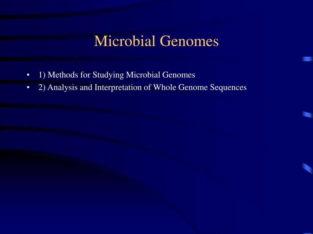 PPT - Microbial Genomes PowerPoint Presentation, free download - ID:88315